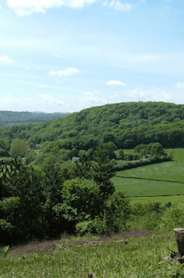 Walk 3 - Going to Herefordshire's Woolhope Dome - a Special Place ...