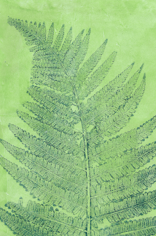 Botanical gel printing workshop at Doghead Designs event tickets from ...