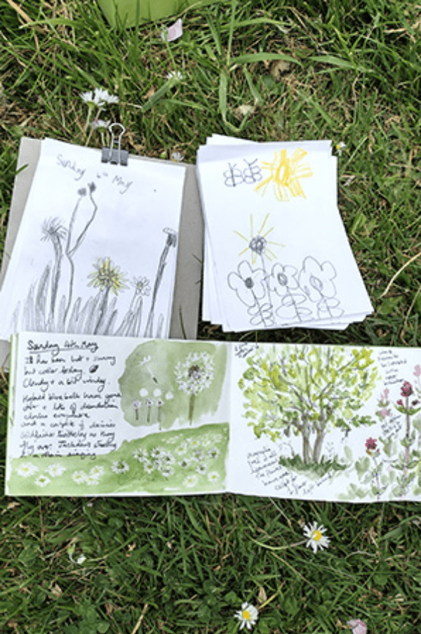 Nature Sketching (pay-as-you-can, free to £6) 1st Sunday of the month ...