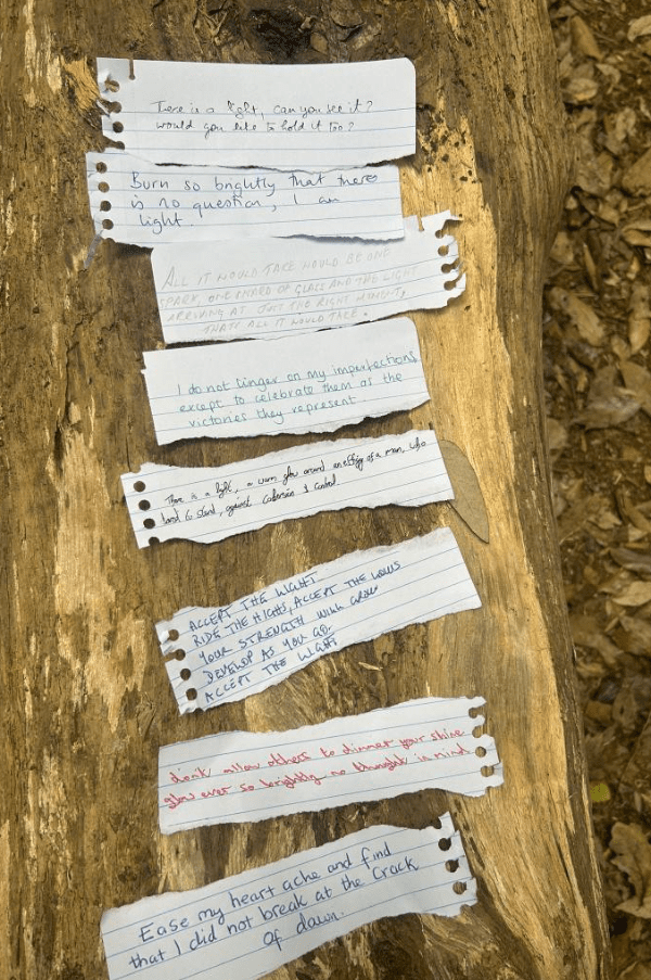 WILD WORDS - From the heart, for the heart at Slades Park Pavilion ...