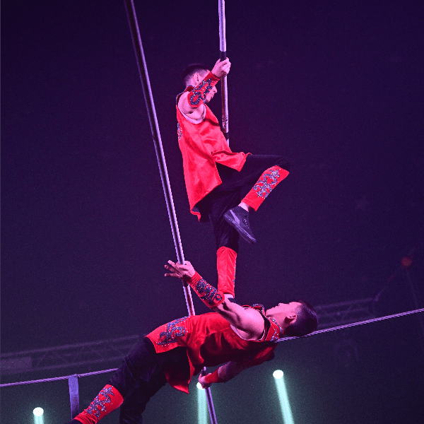 John Lawson's Circus Ltd. event tickets from TicketSource.