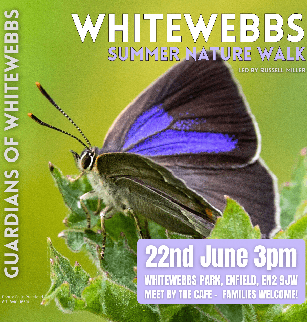 Whitewebbs Community Nature Walk at Whitewebbs Park event tickets from ...